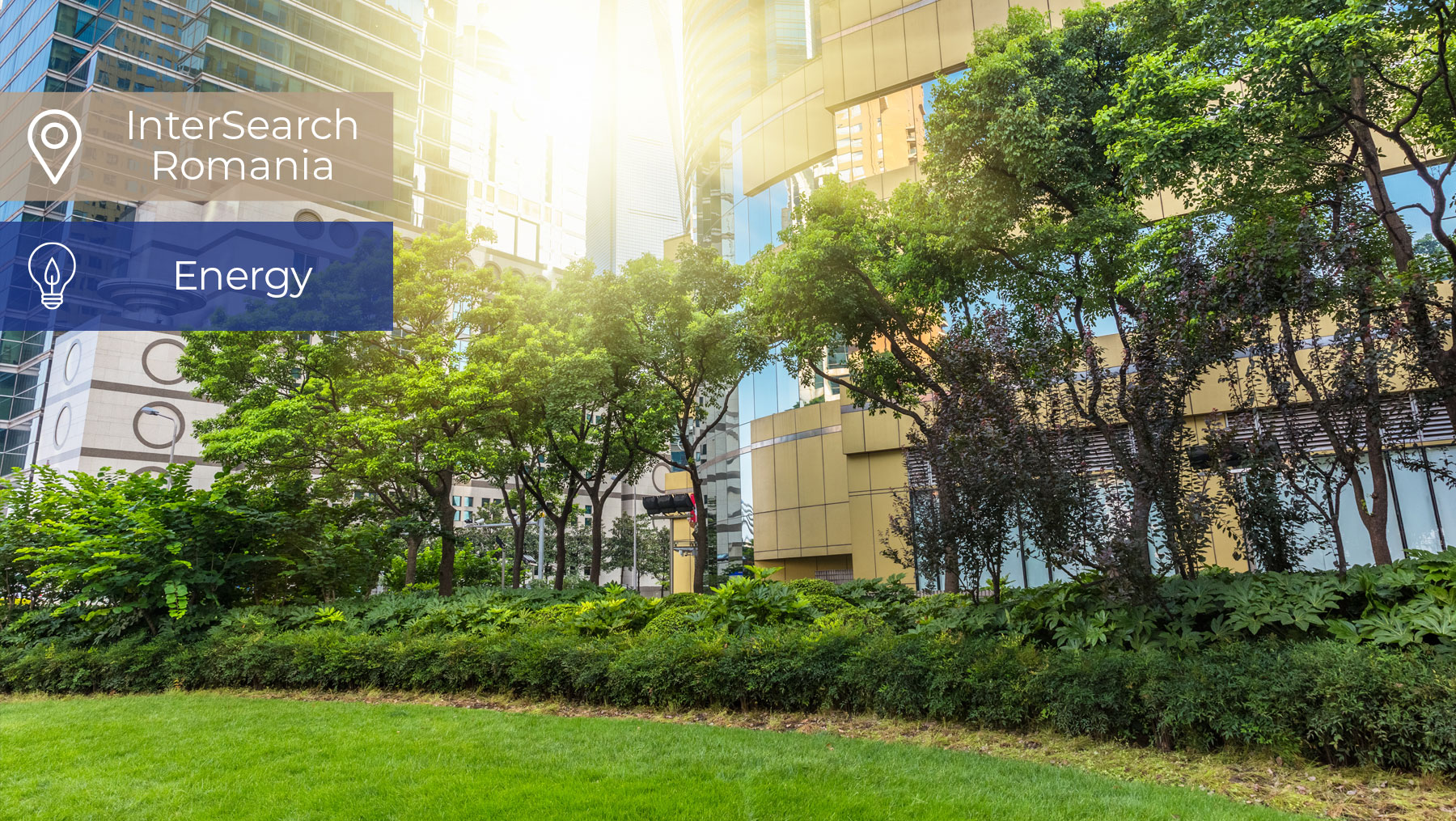 Pioneering Green Energy Solutions – Empowering C-suite Executives | Intersearch.org