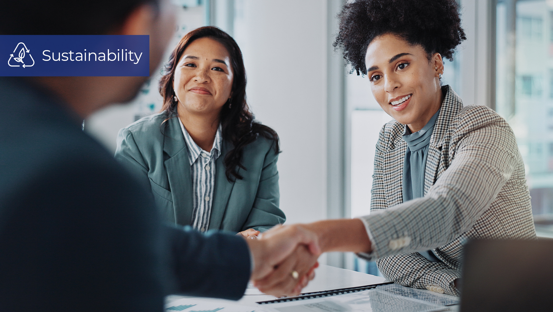 How to Showcase Your Sustainability Leadership Skills – A Guide for ...