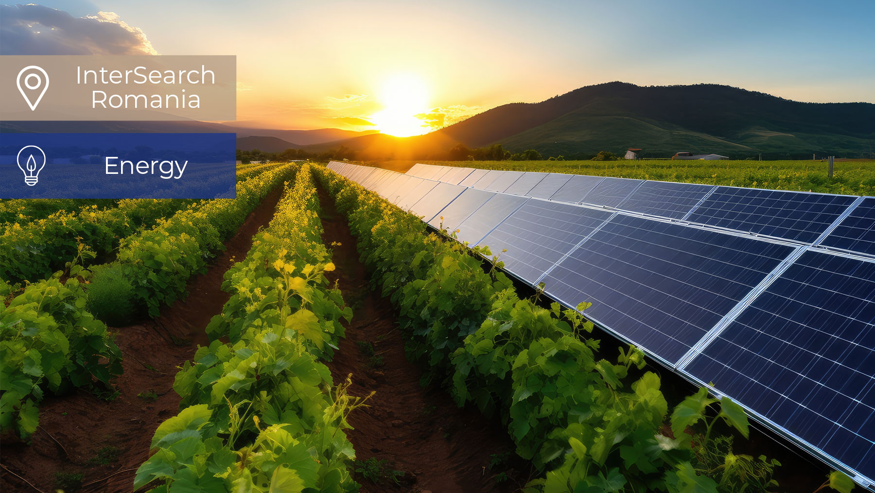 Pioneering Green Energy Solutions – a Leader’s Guide | Intersearch.org